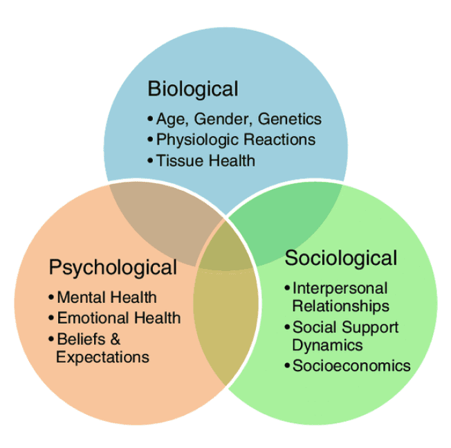 The Biopsychosocial Model in Physiotherapy - ALCHEMY IN MOTION
